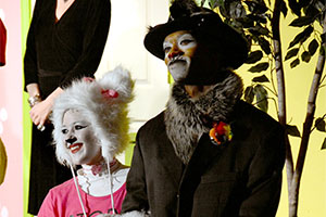 Curiosity Cat | Onk Ajans